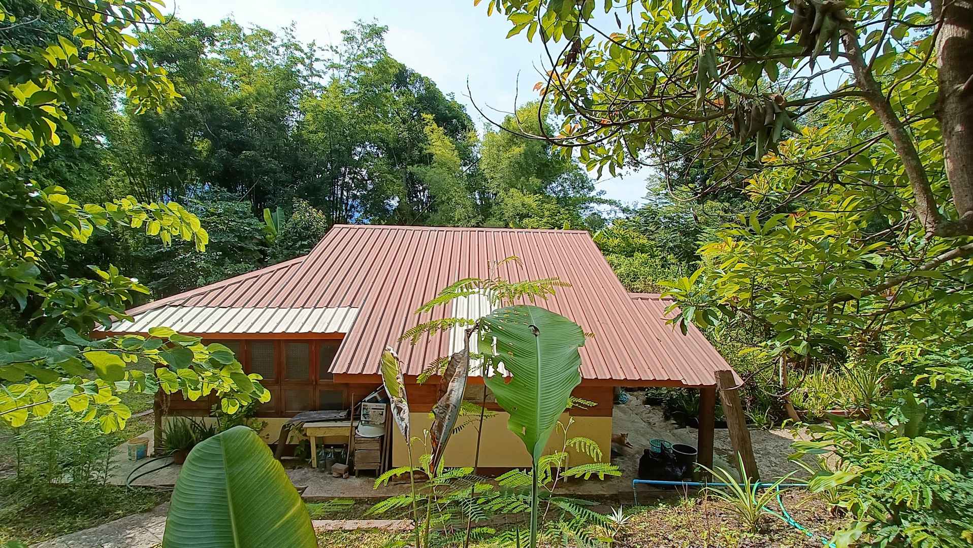 Peaceful Cottage amongst the trees for sale in Pai - Property in Pai