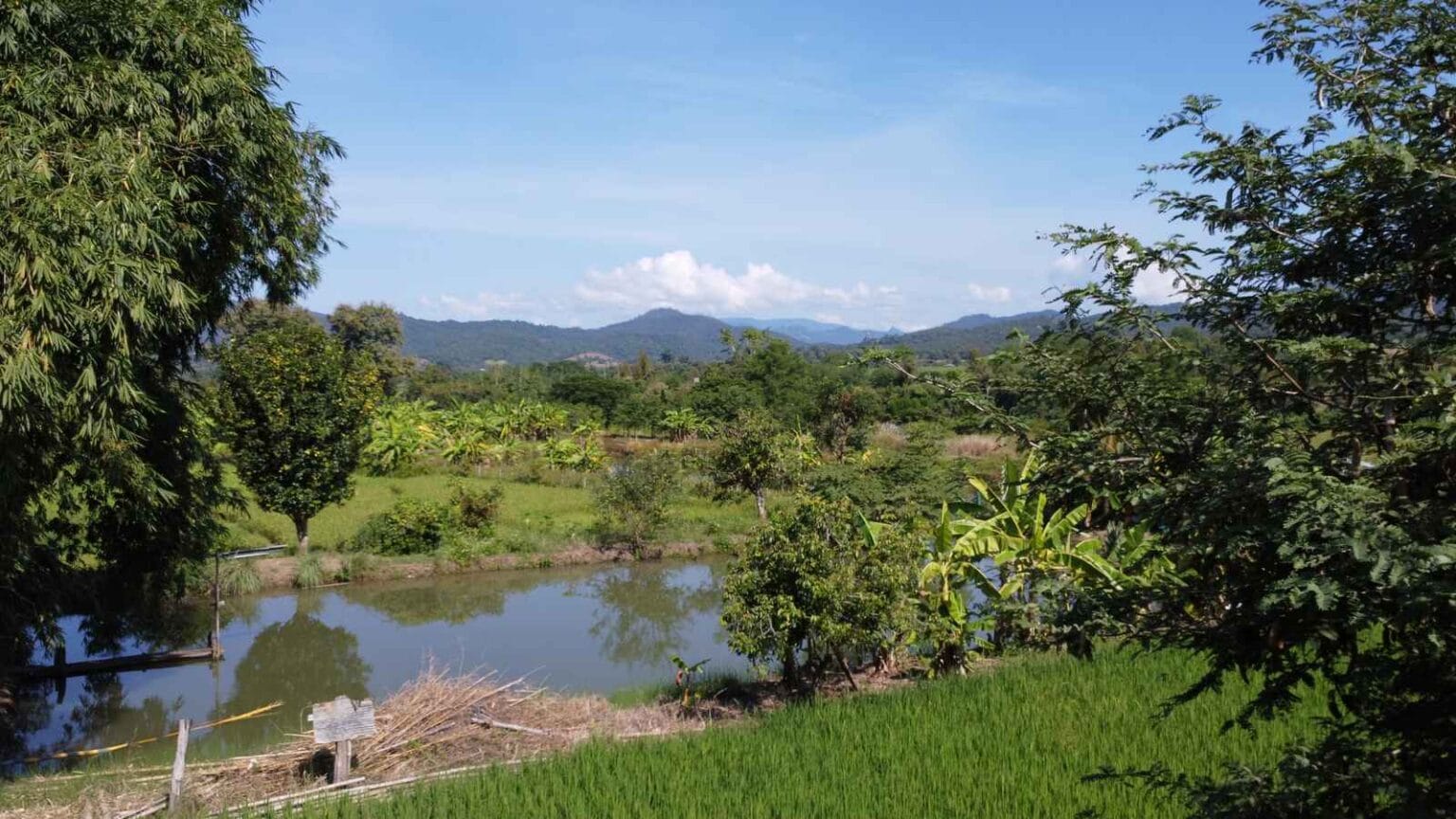 Home - Property in Pai